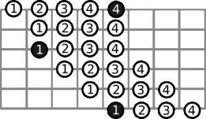Chromatic Scale Notes For Guitar | Every Guitar Chord
